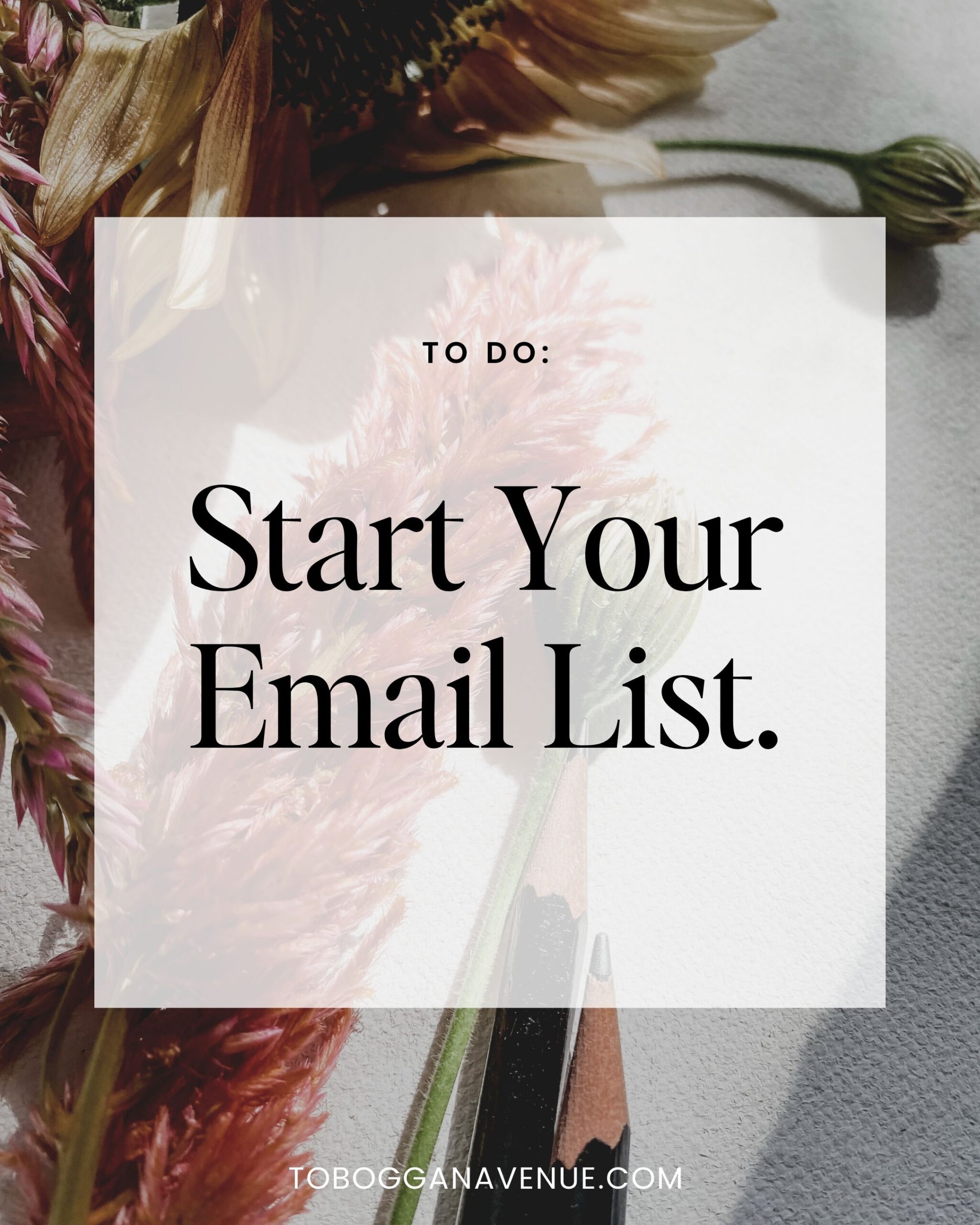 The Art of The Email List - tobogganavenue.com