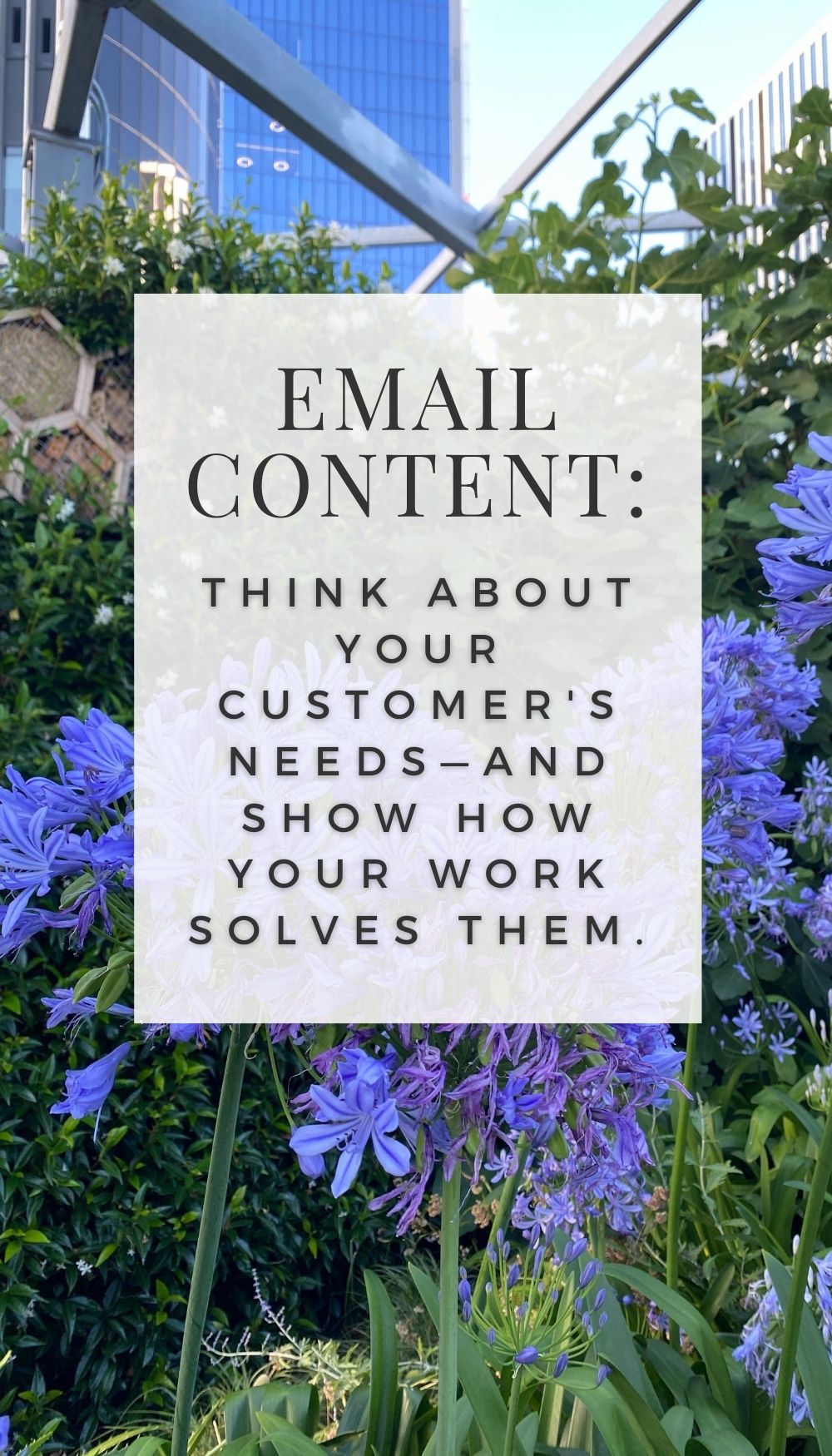 How to Create Effective Email List Newsletter Content - tobogganavenue.com